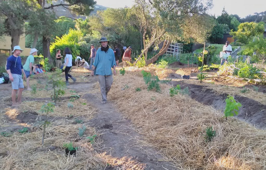 Rescue Earth System — rescue.earth